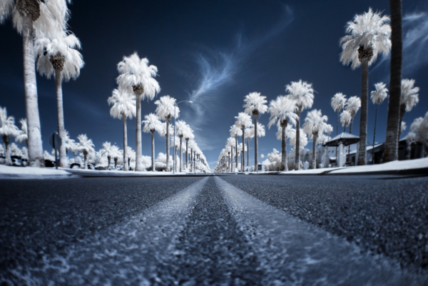 Sean Foster - Official Website